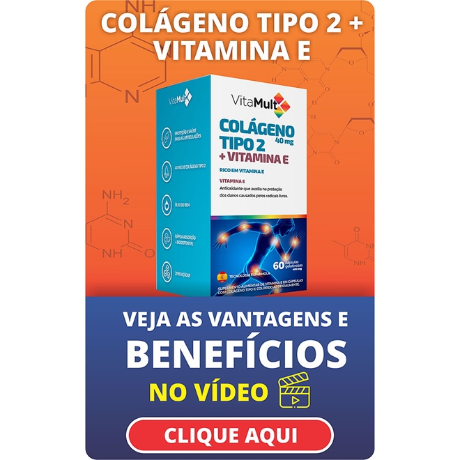 Vitamult Colágeno Tipo Ii Vitamina E 60 Cápsulas - Vitamult Colágeno ...